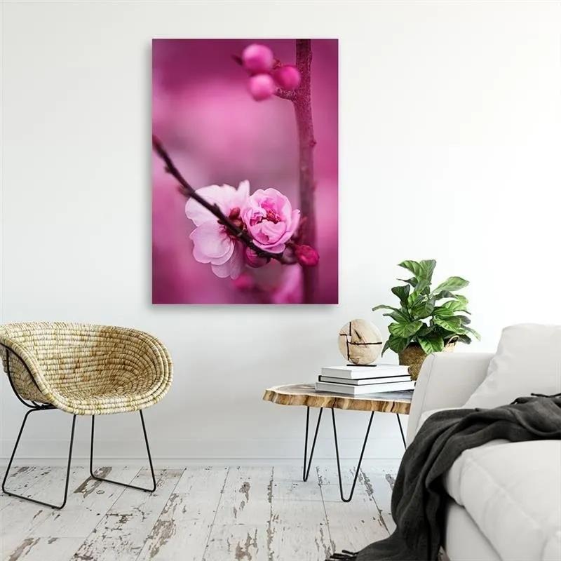 Obraz na plátně, Růžový květ jabloně - 60x90 cm