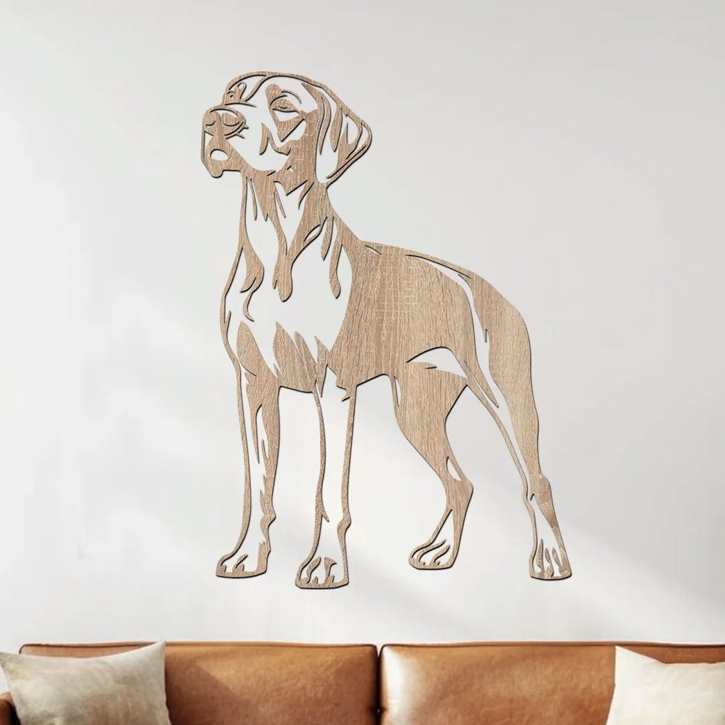 dřevo života Dřevěný obraz Anglický Pointer Zvolte rozměr (cm): 29x40, Zvolte barvu dekoru: Javor