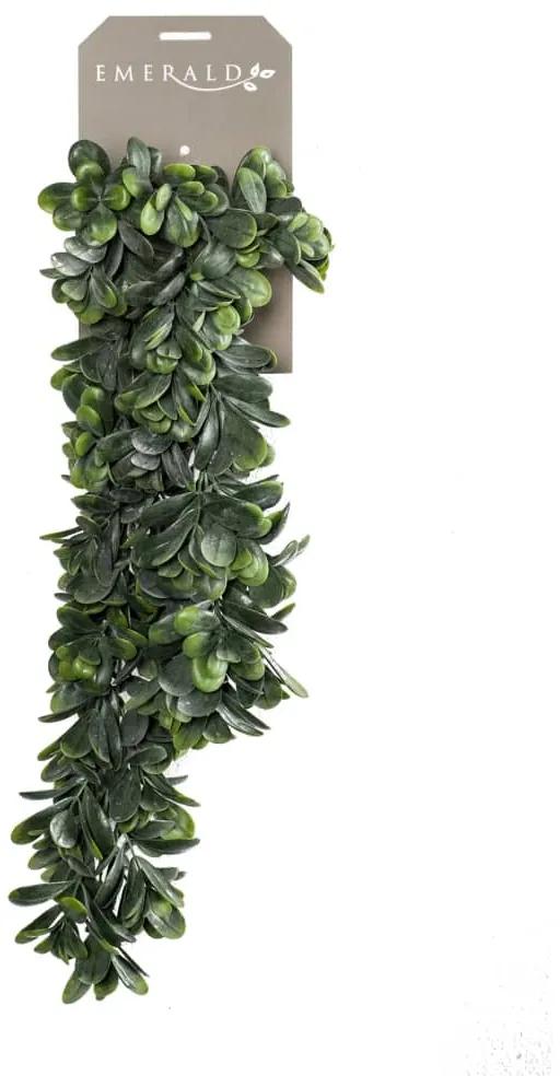 Emerald Umělá crassula 80 cm - Default Title