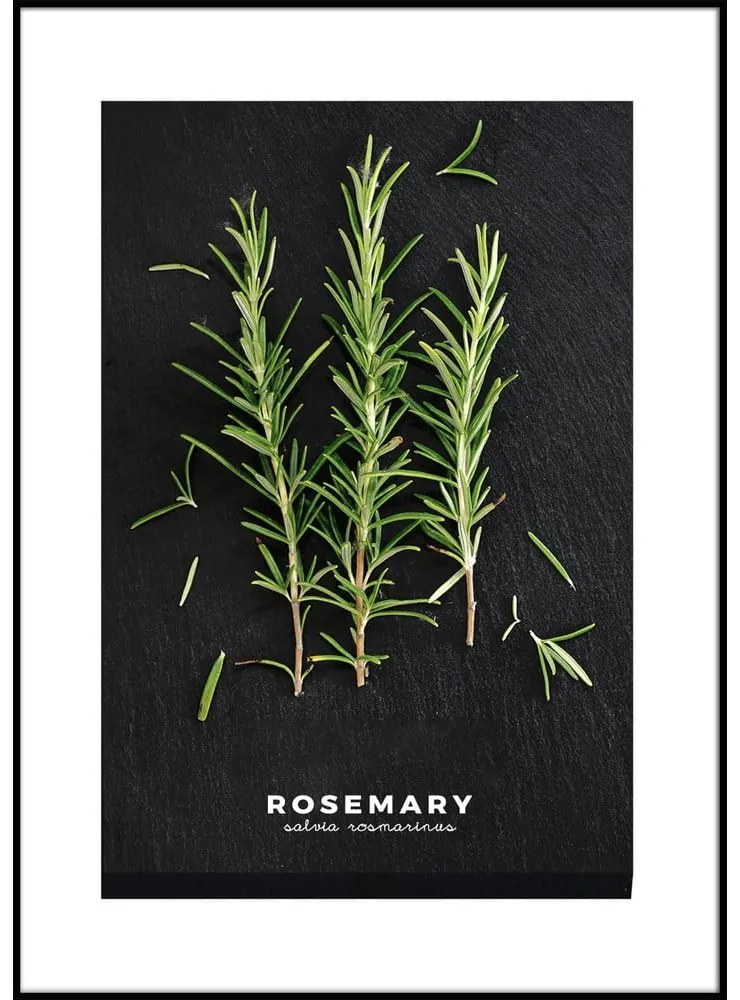 Plakát v rámu 50x70 cm Rosemary – Styler