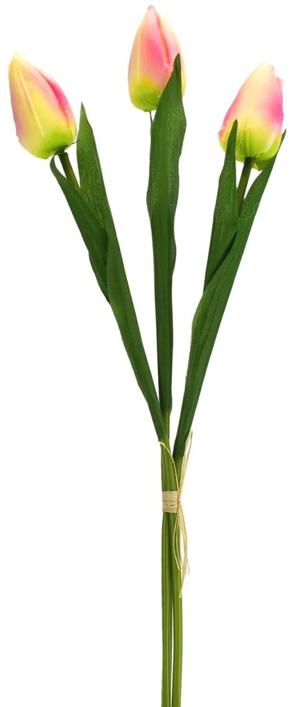 Svazek 3 ks tulipánů růžové 50 cm