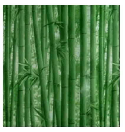 Samolepící fólie bambusový les 45 cm x 10 m