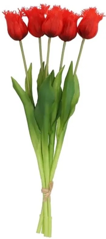 Kytice 5ks červených realistických tulipánů Tulips Papagayo - 46 cm