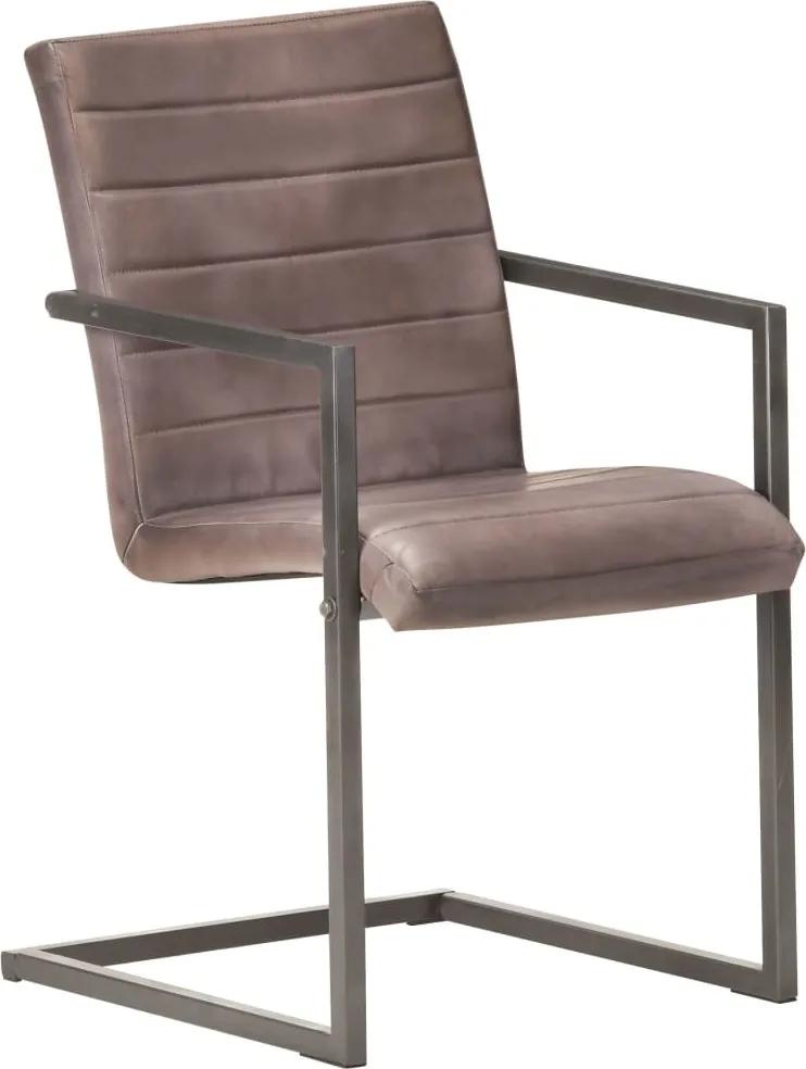 vidaXL Jídelní židle 2 ks pravá kůže [321841] Barva: Šedá