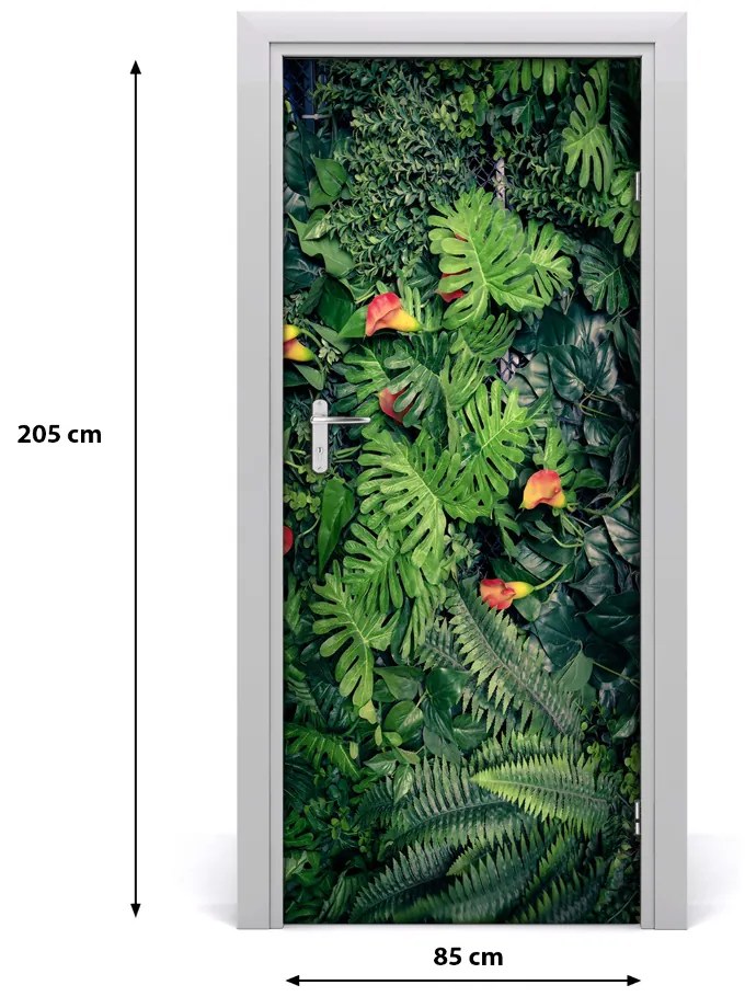 Fototapeta na dveře Tropické rostliny 85x205 cm