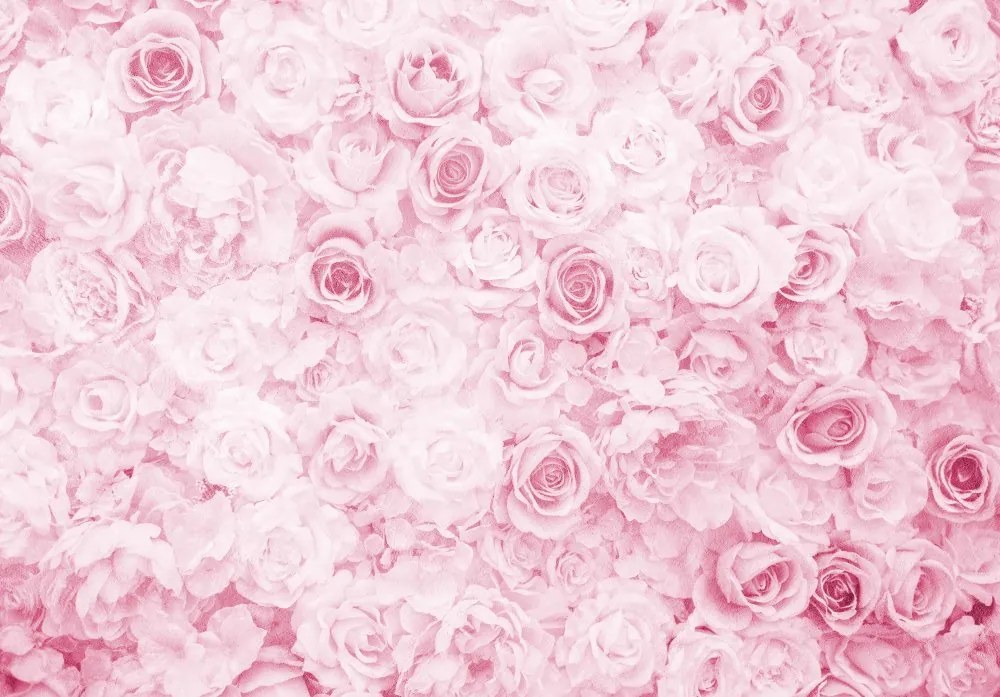 Fototapeta Vybledlé Květinové Vintage Růžové Samolepící tapety 254x184