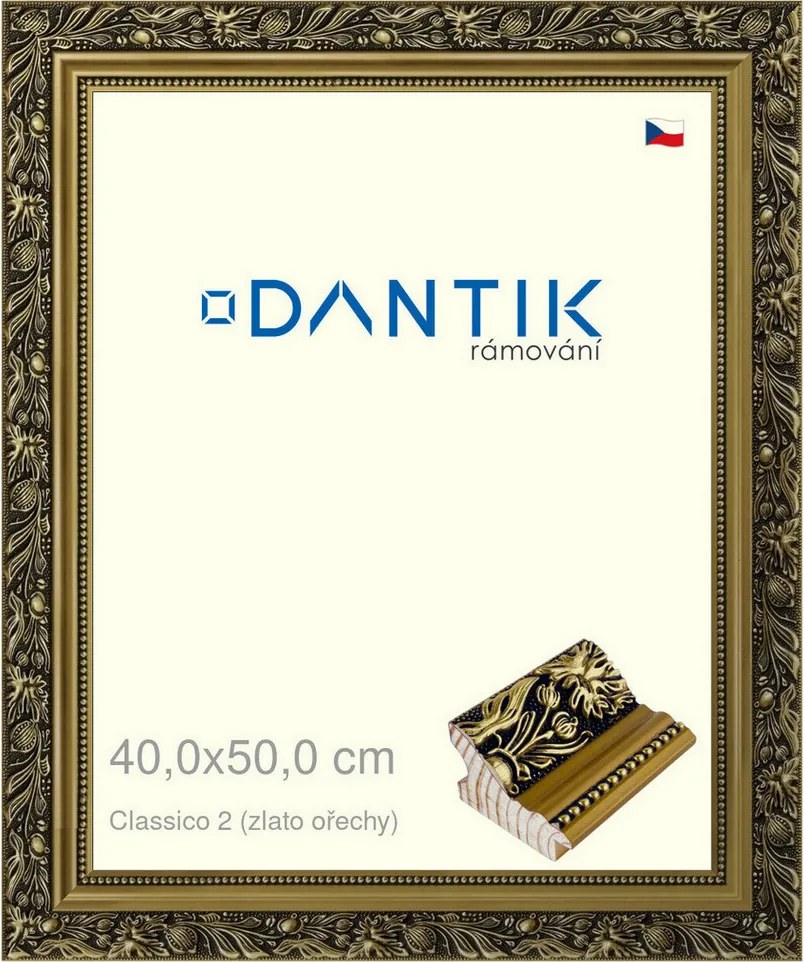 DANTIK rámeček 40x50 | Claico 2 (zlato ořechy) (Sklo Čiré)