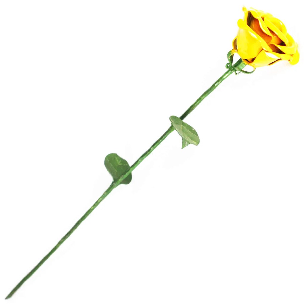 Radotínská růže - žlutá - L (délka 50 - 60 cm)