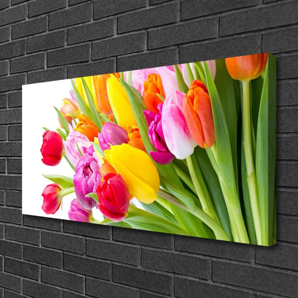 Obraz na plátně Tulipány Květiny Rostlina 120x60 cm