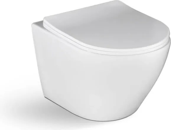 Laveo Desna, závěsná WC mísa Rimless 485x370x320 mm + toaletní sedátko, bílá lesklá, LAV-VMD_600S