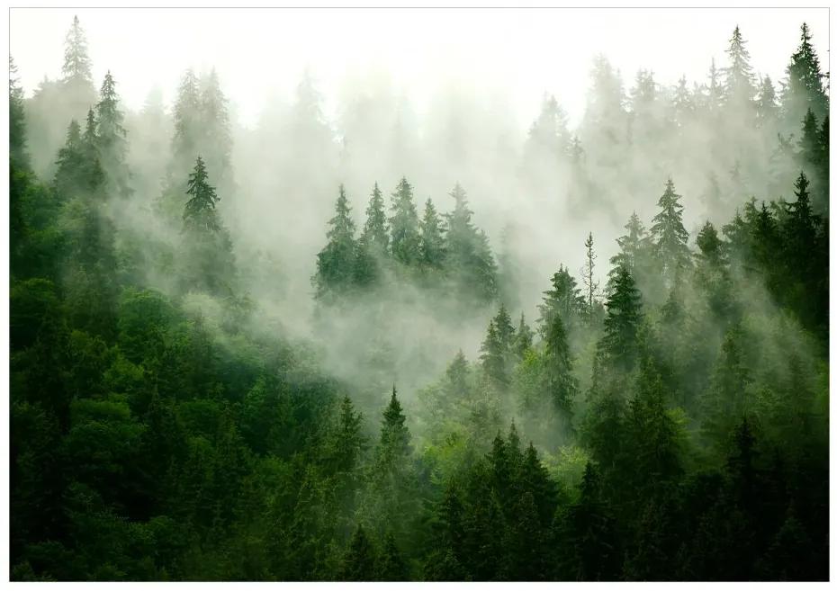 Samolepící fototapeta - Horský les (zelená) 196x140