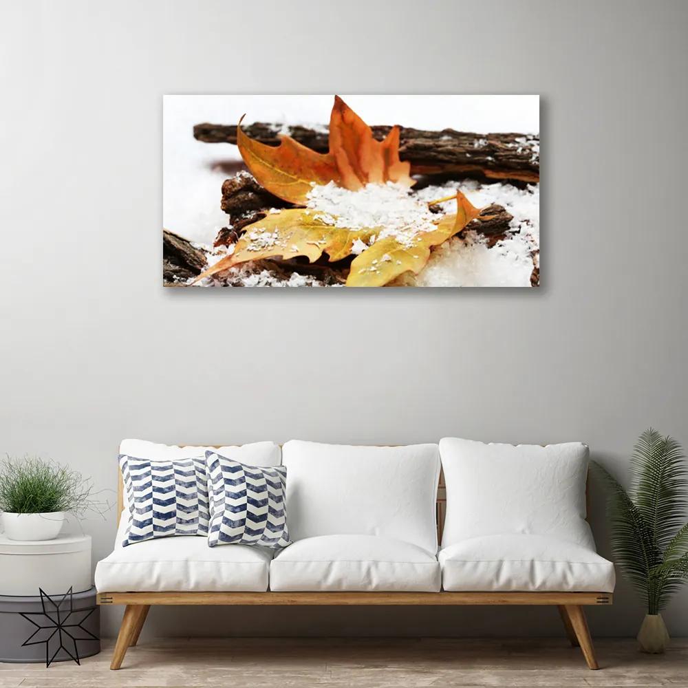 Obraz na plátně List Les Podzim Příroda 100x50 cm