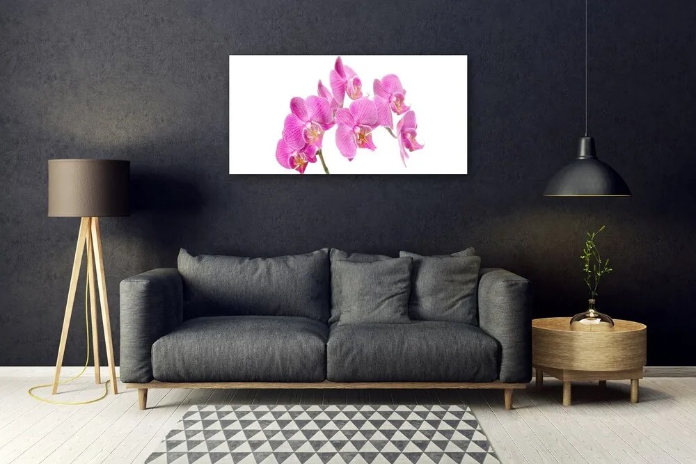 Obraz na skle Orchidej Květiny Příroda 100x50 cm