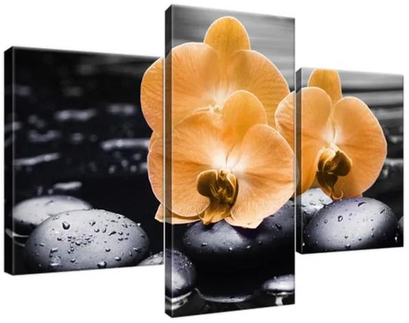 Obraz na plátně Krásná oranžová orchidej 90x60cm 1714A_3B