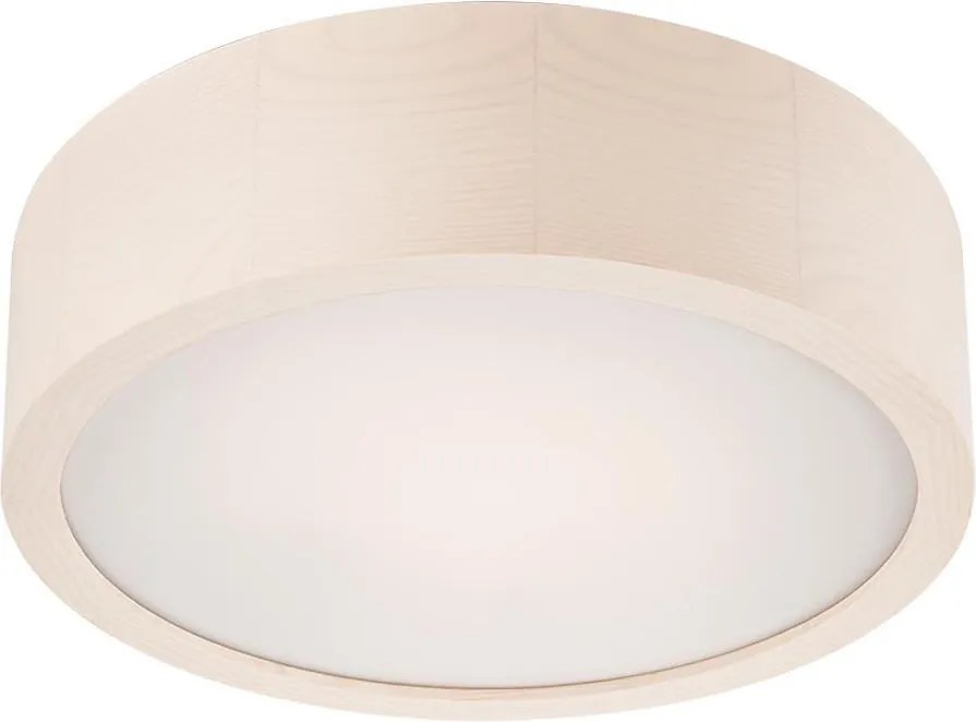 LED Stropní svítidlo LED/12W/230V