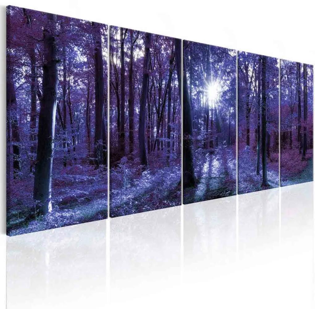 Obraz Ranní rozbřesk fialový + háčky, hřebíčky, čistící hadřík ZDARMA Velikost (šířka x výška): 125x50 cm