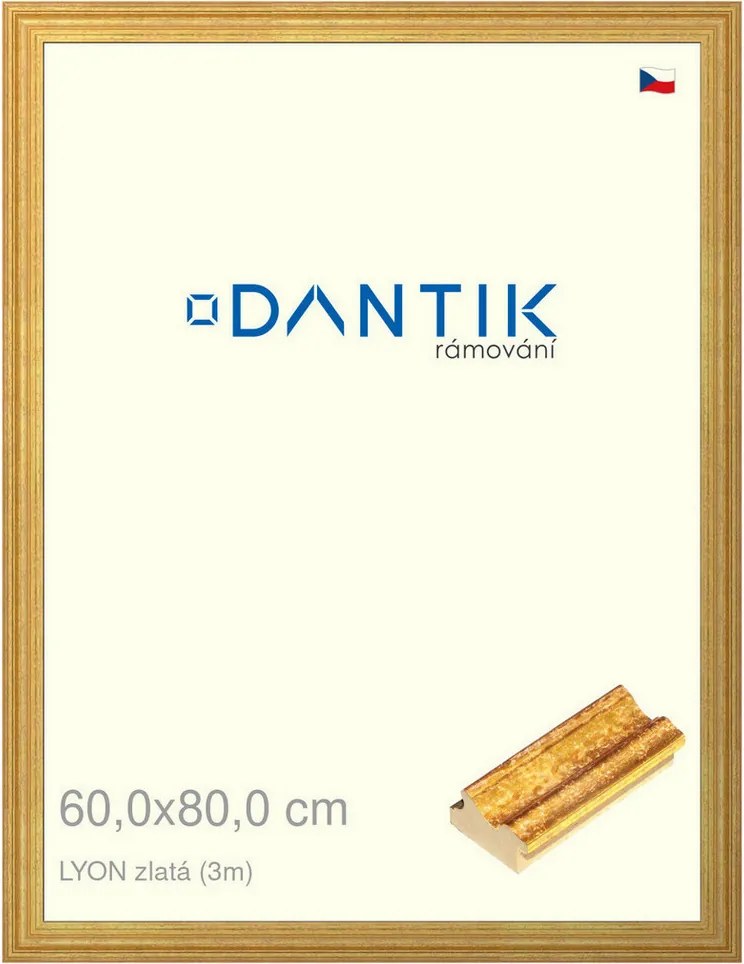 DANTIK rámeček 60x80 | LYON zlatá (Plexi Čiré)