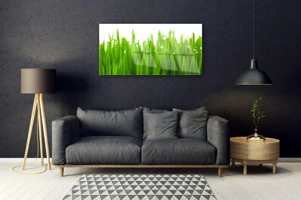 Obraz na skle Tráva Příroda Rostlina 125x50 cm