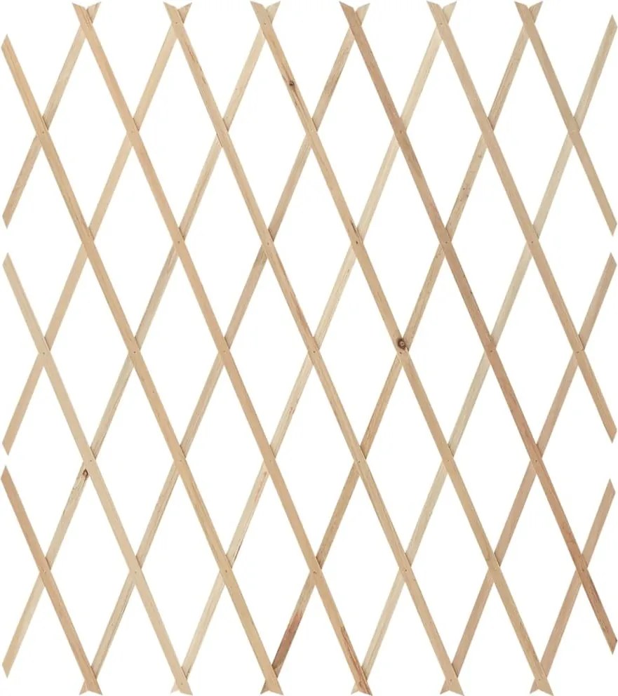 vidaXL Trelážové ploty 5 ks masivní jedlové dřevo 180 x 80 cm [316422] Barva: Hnědá