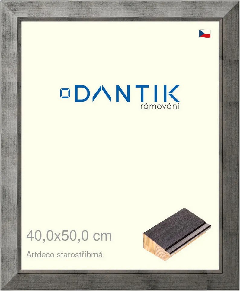 DANTIK rámeček 40x50 | Artdeco starostříbrná (Sklo Čiré)