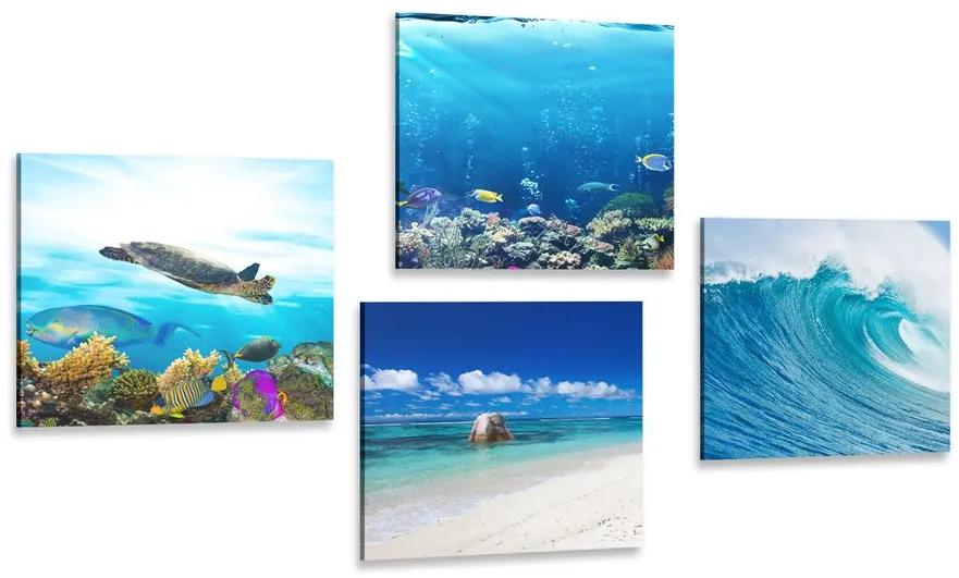 Set obrazů mořský svět Varianta: 4x 40x40