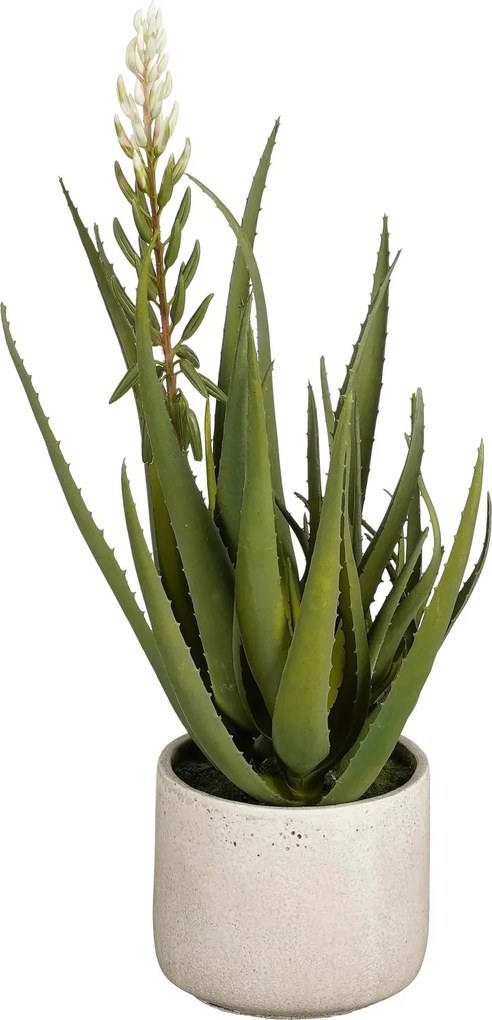 Mica Decorations Umělá rostlina aloe vera, výška cca 58 cm, pr. 38 cm