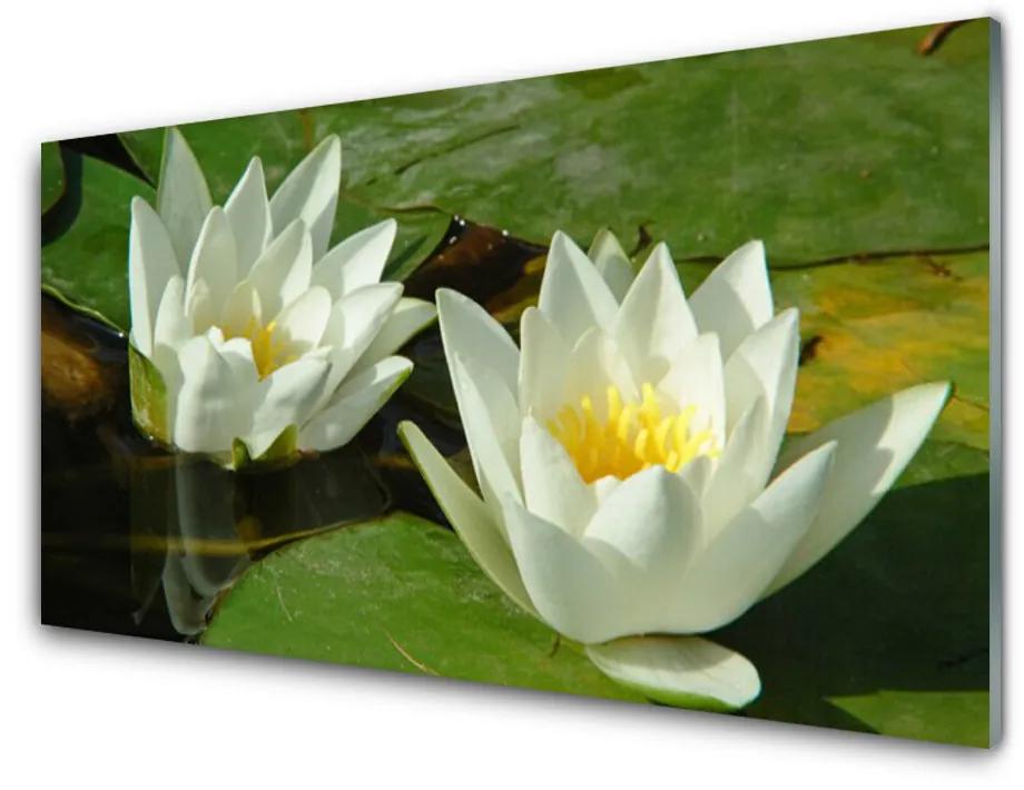 Obraz na skle Květiny Rostliny Příroda 100x50 cm