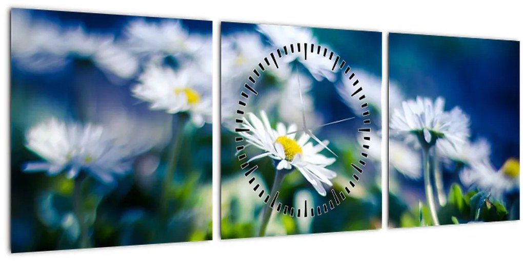 Obraz sedmikrásek (s hodinami) (90x30 cm)