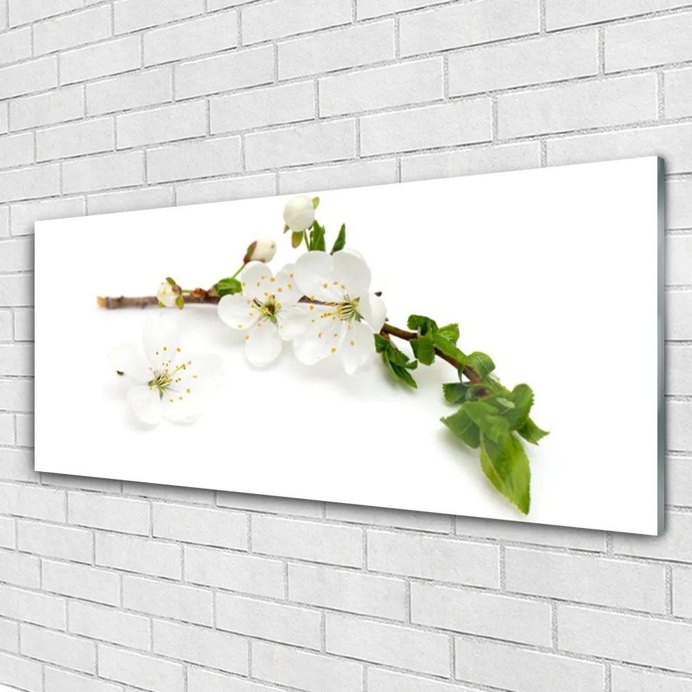 akrylový obraz Květ Větev Příroda 125x50 cm