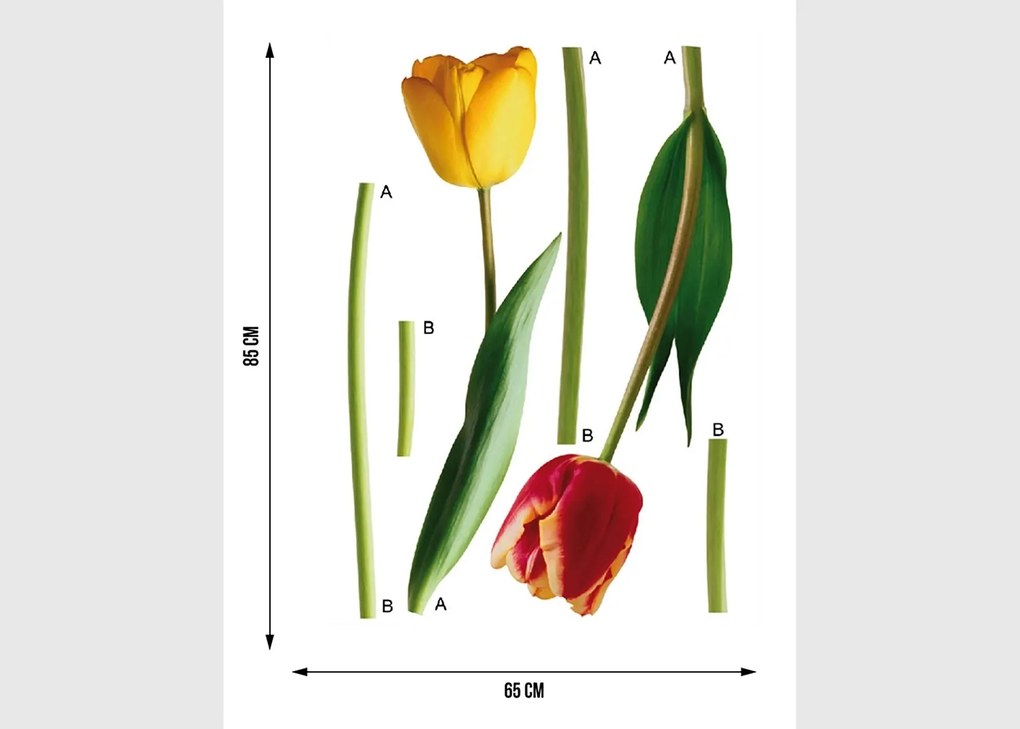 Samolepka na zeď Tulipány | 65 x 85 cm | DF0401