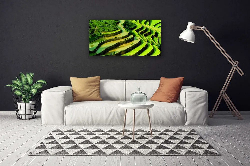 Obraz na plátně Pole Rýže Les Umění 120x60 cm