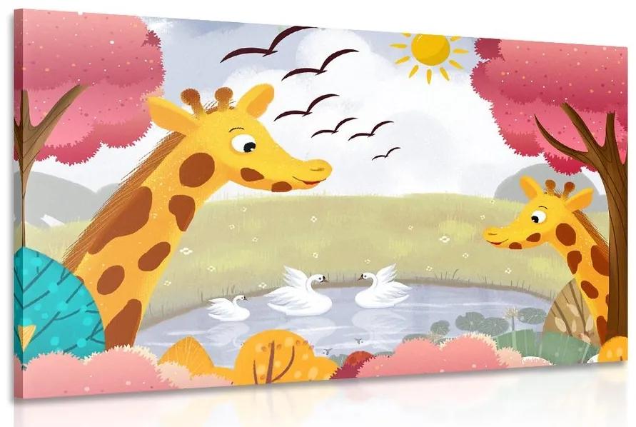 Obraz žirafy u jezírka - 120x80 cm