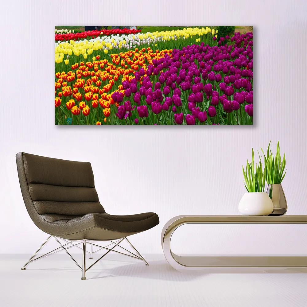 akrylový obraz Tulipány Květiny 120x60 cm