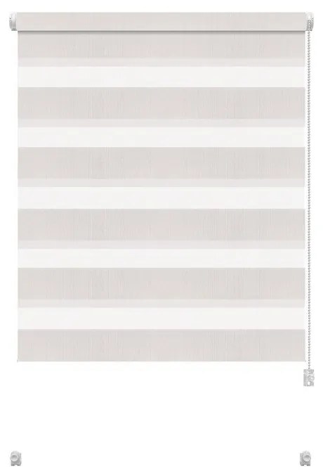 Bílá roleta den a noc 42,5x150 cm Zebra – Gardinia