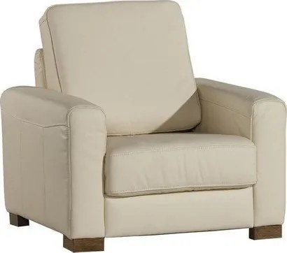 Casarredo - Komfort nábytek Křeslo WILLIAM kůže | potah: Kůže S-16,barva: moření 01 bílá
