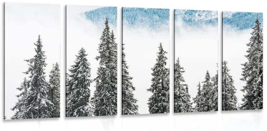 5-dílný obraz zasněžené borové stromy Varianta: 100x50