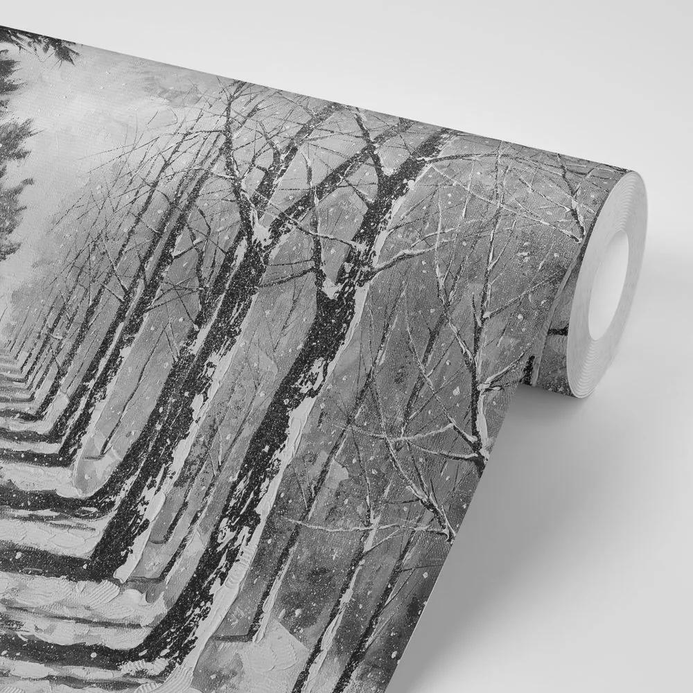 Samolepící tapeta podzimní černobílá alej stromů