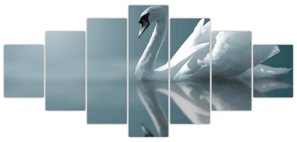Obraz - Bílá labuť (210x100 cm)