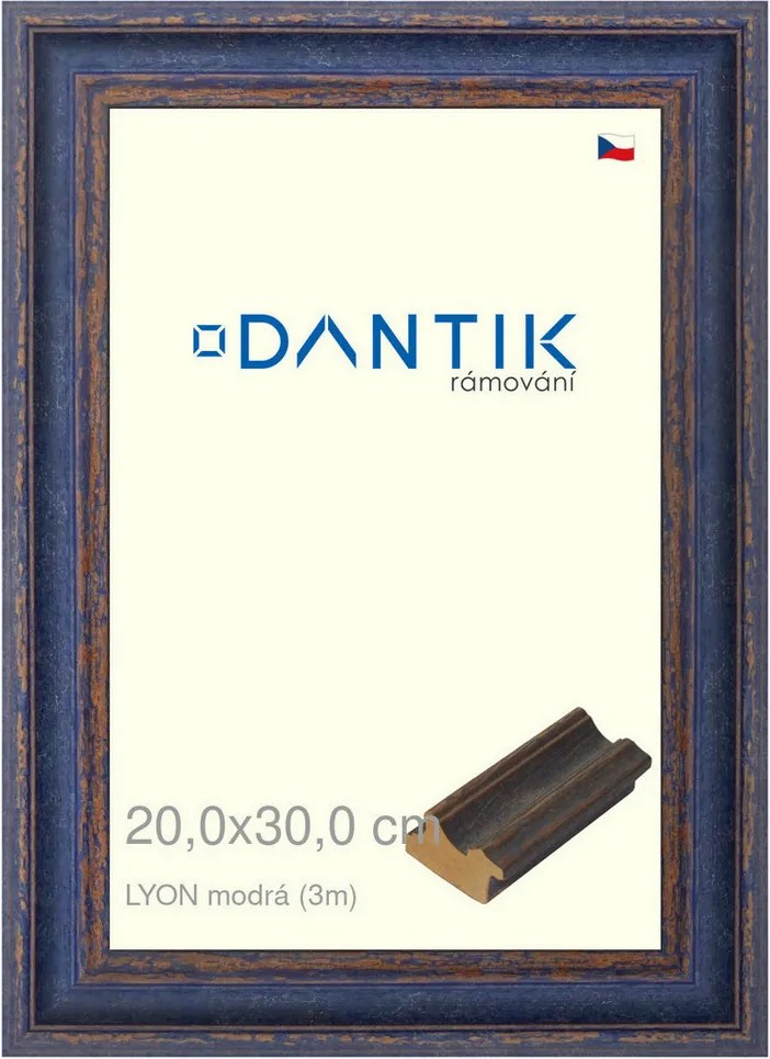 DANTIK rámeček 20x30 | LYON modrá (Sklo Čiré)