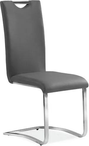 Jídelní židle H-790 - šedá