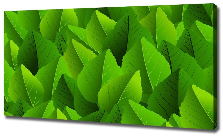 Wallmuralia Foto obraz na plátně Zelené listí 120x60 cm