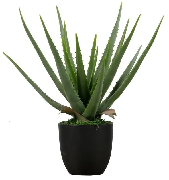 Umělá aloe vera WOOOD, výška 46 cm