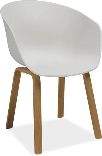 Židle EGO barva dub/bílá