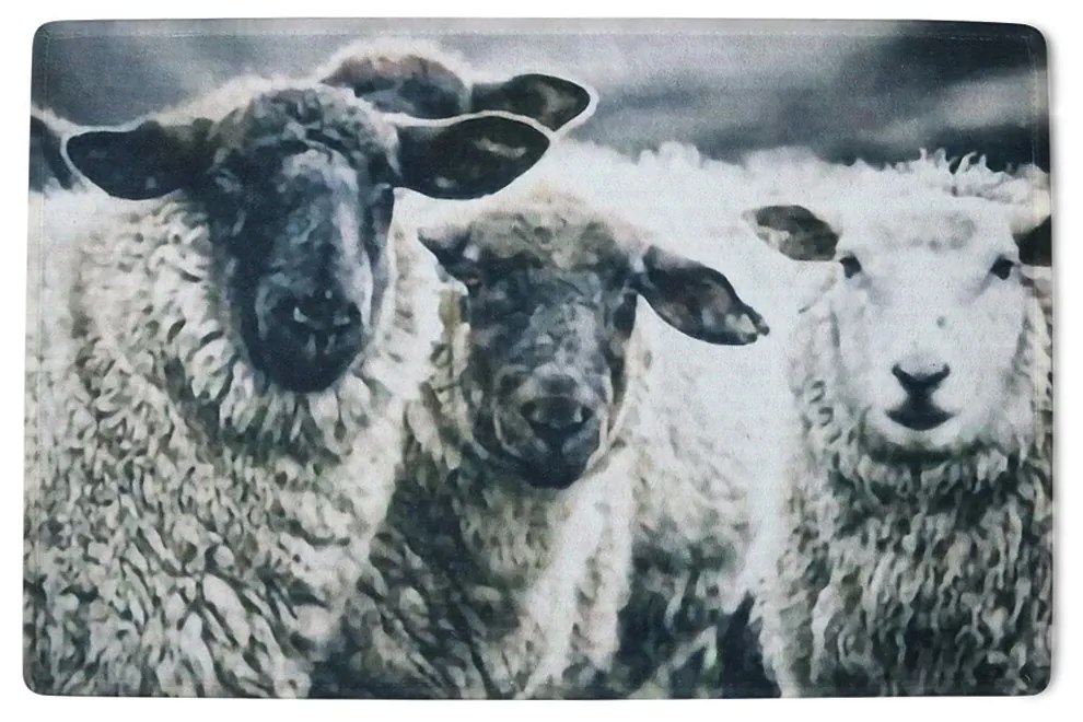 Interiérová rohožka s malovanými ovcemi - 75*50*1cm