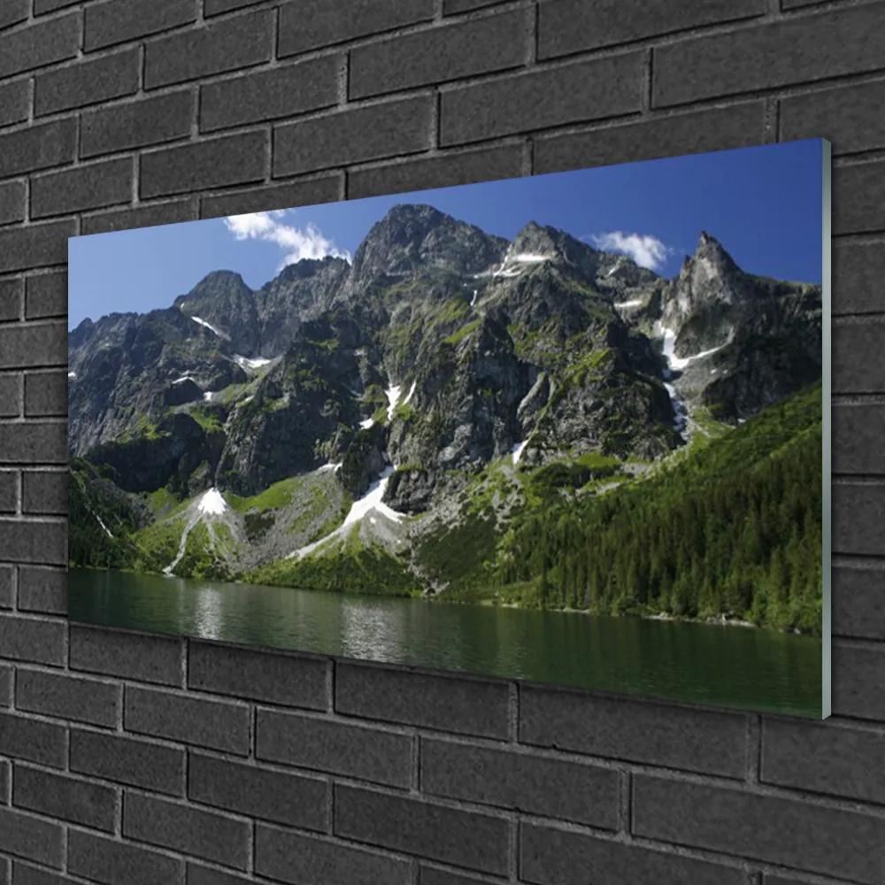 Obraz na skle Hory Jezero Les Krajina 140x70 cm
