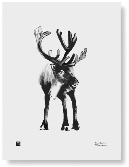 Plakát Reindeer 30x40 Teemu Järvi