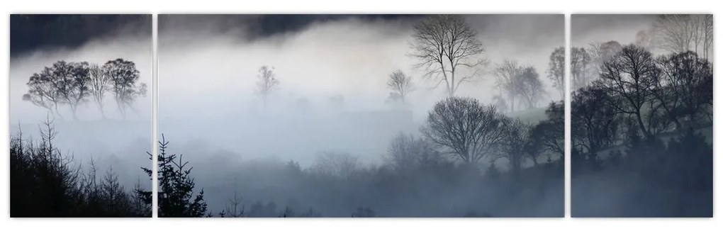 Obraz mlhy nad lesem (170x50 cm)