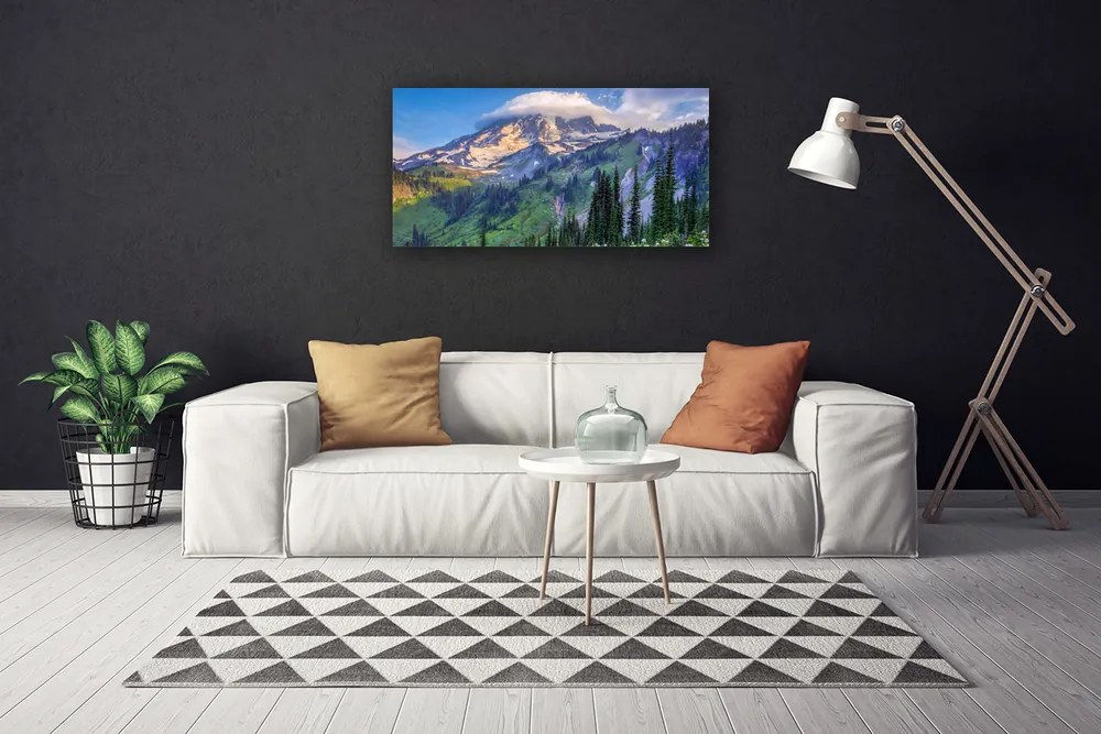 Obraz na plátně Hora Les Krajina 125x50 cm