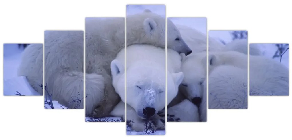 Obraz - Lední medvídci (210x100 cm)