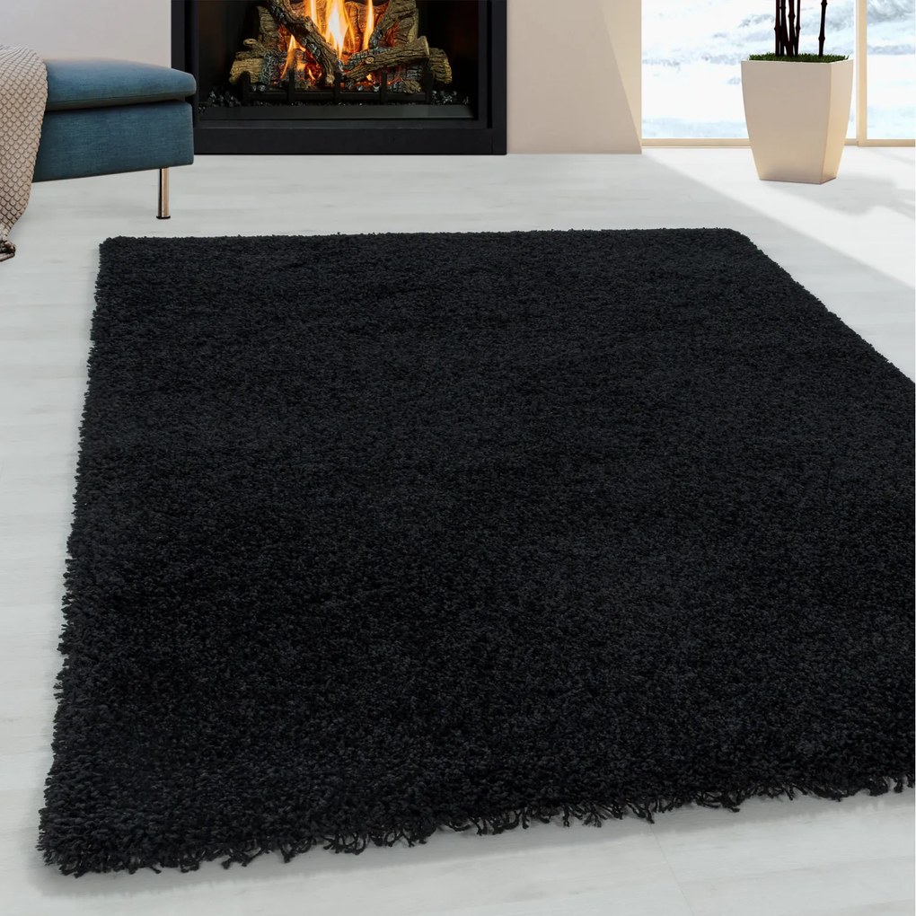Ayyildiz, Kusový koberec Sydney Shaggy 3000 black, 200x290, černá, ložnice